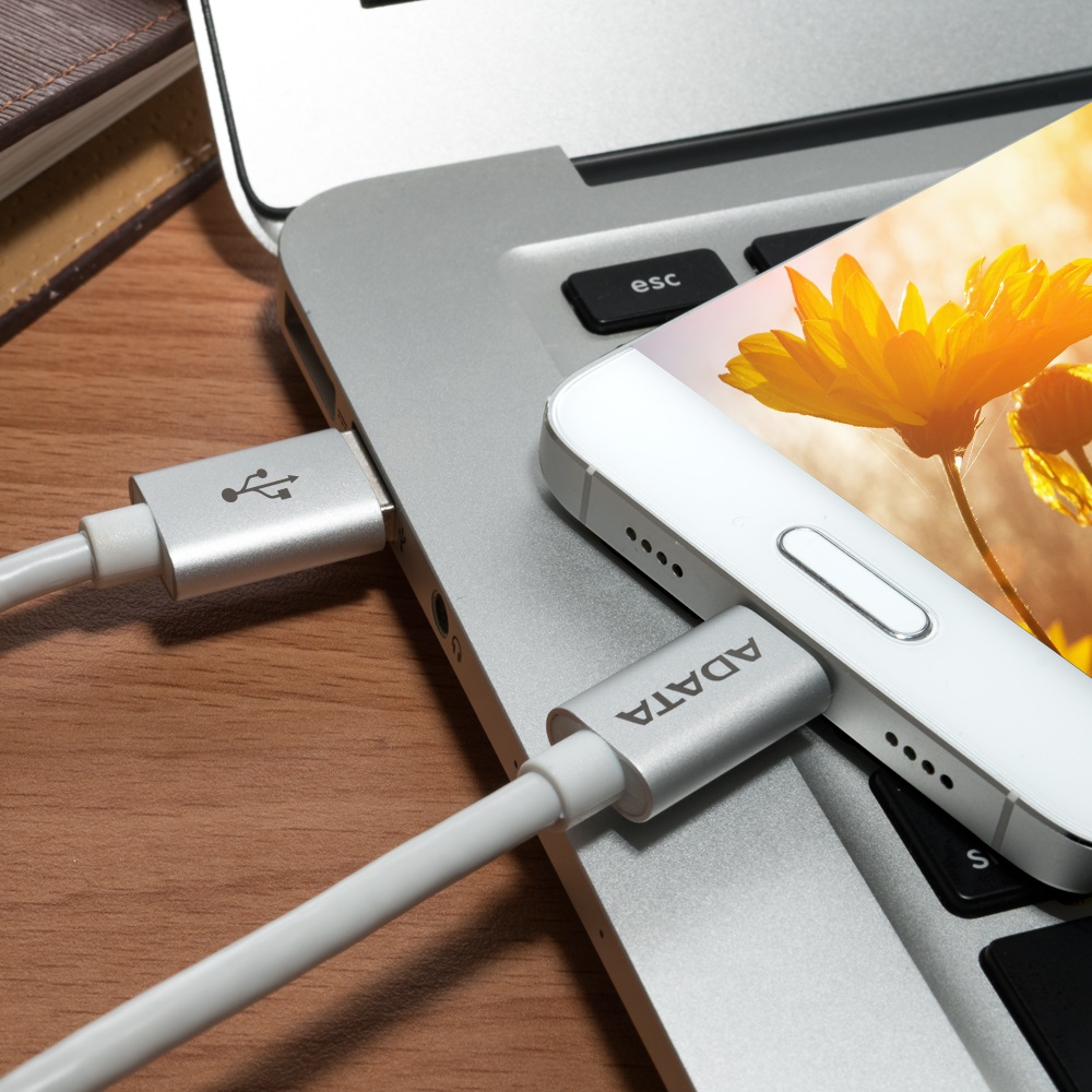 AData USB-C to USB 2.0 (Type A) 1 m Cable - Silver