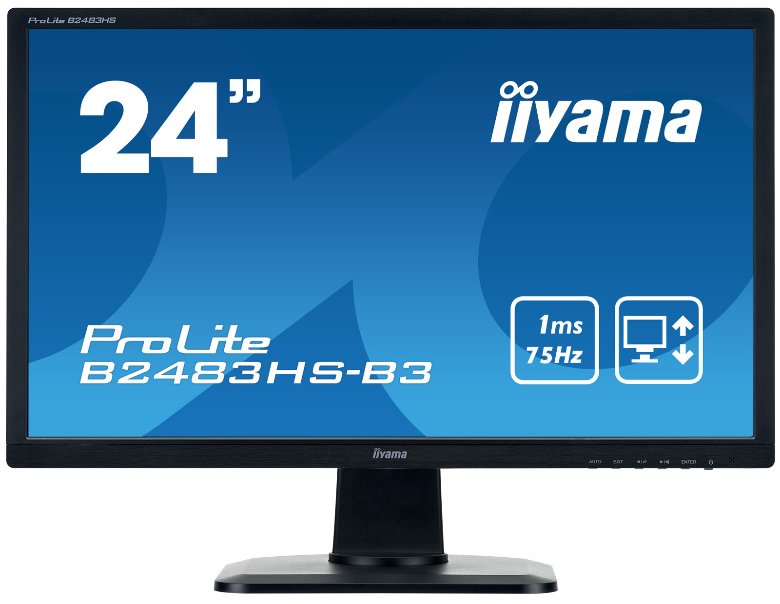 Iiyama ProLite B2483HS-B3 24-inch Full HD Flat Matt Black Computer ...