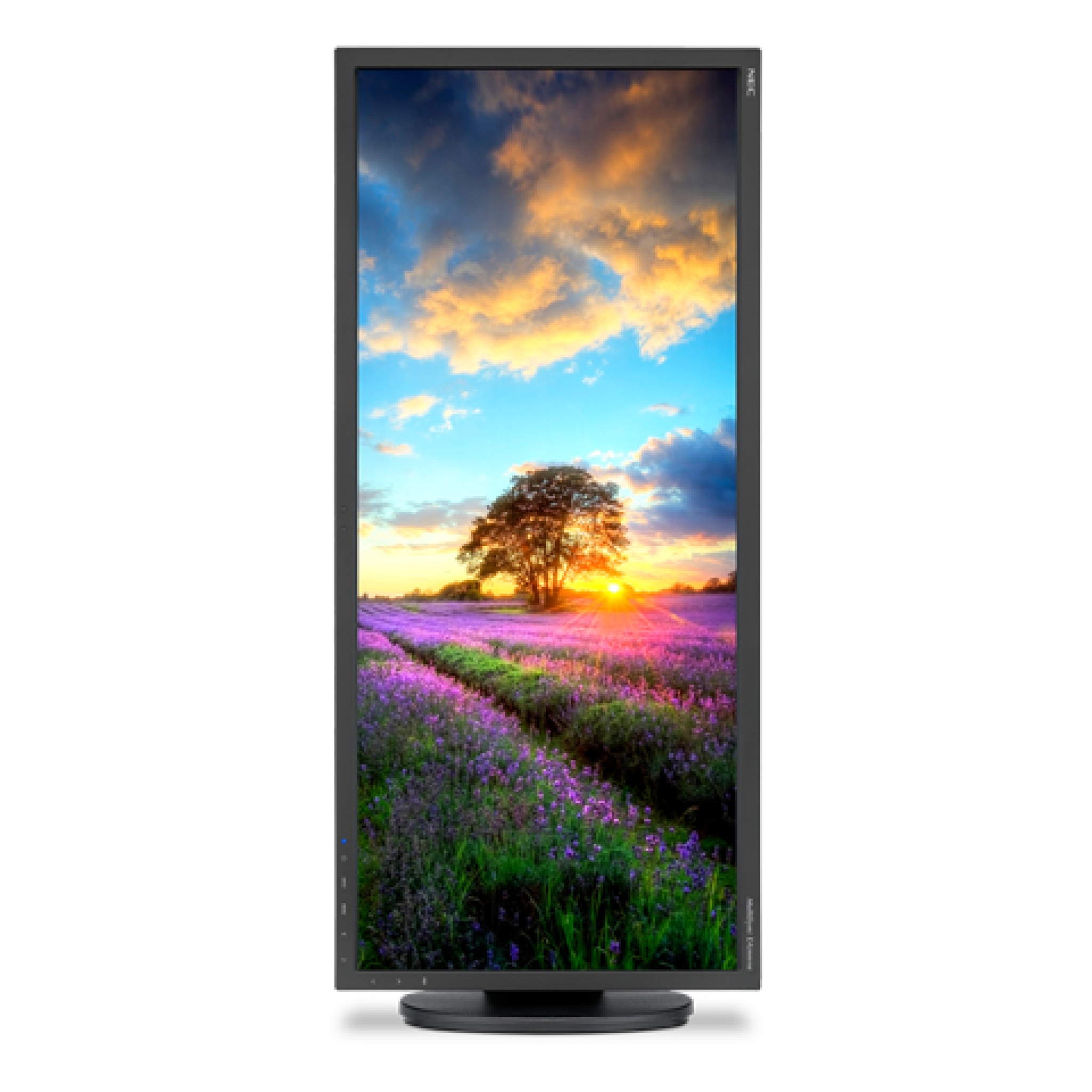 NEC 2560 x 1080 Pixels Full HD LED Computer Monitor - 29Inch